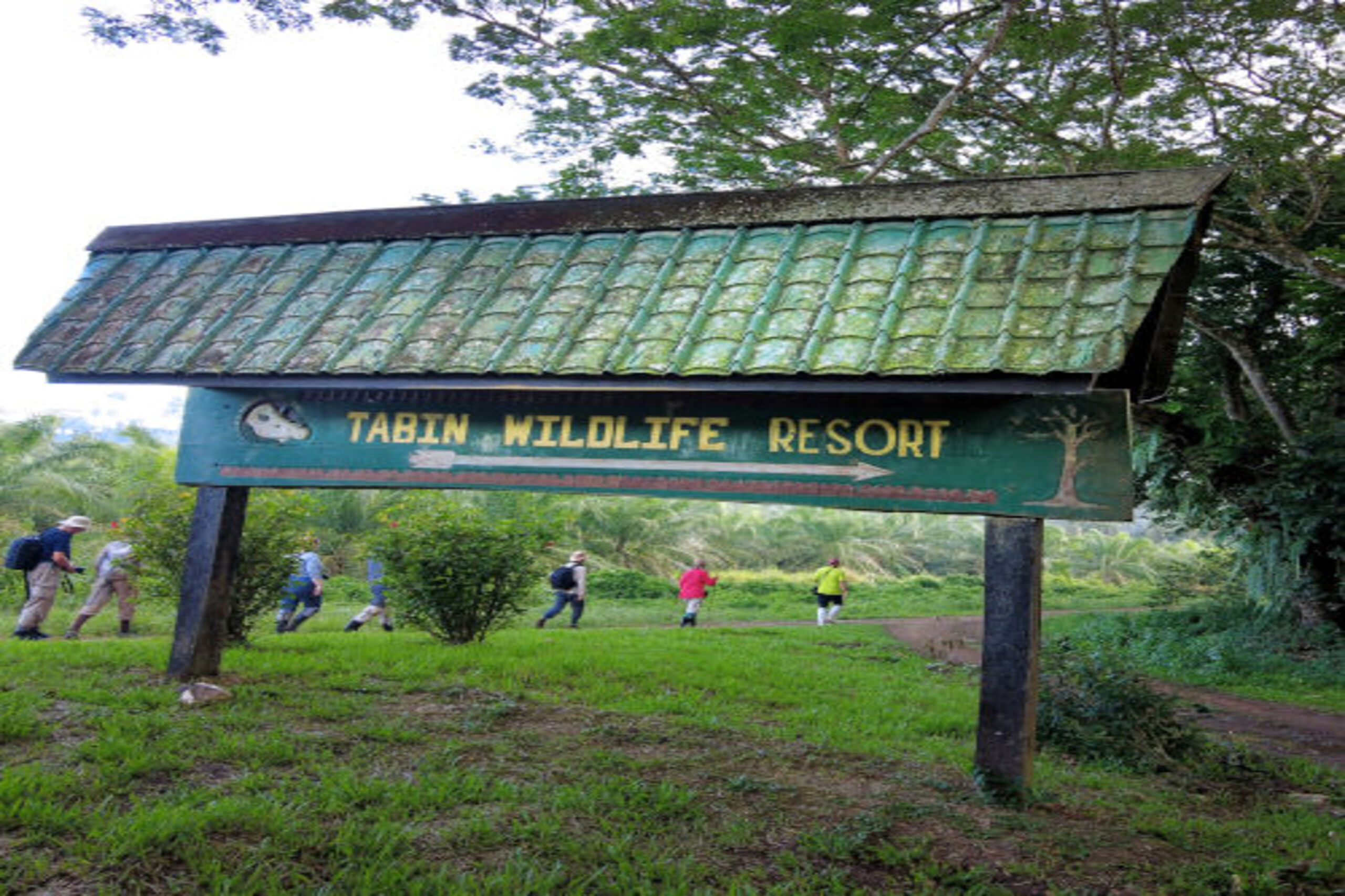 Tabin Wildlife - 6 Days 5 Nights - Dizcovery Asia